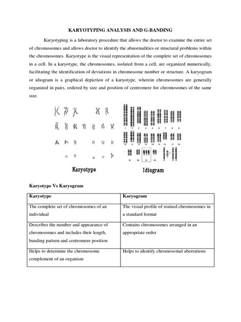 Karyotyping And G Banding Pdf Karyotype Chromosome