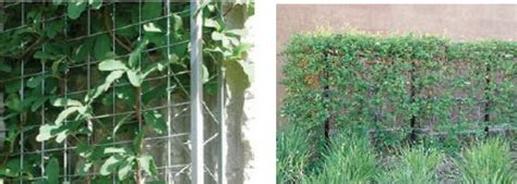 Close Up Of Modular Trellis Panel System Left And Freestanding Green