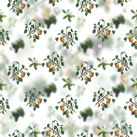Vintage Seckel Pear Floral Garden Pattern On White N0696 Mixed Media
