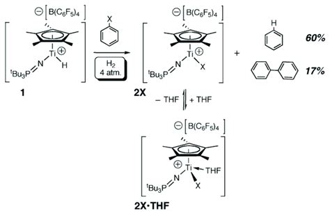 Scheme 6 Homolytic C X Activation Of Chloro And Bromobenzene By 1 Tbu