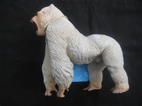 Albino Gorilla