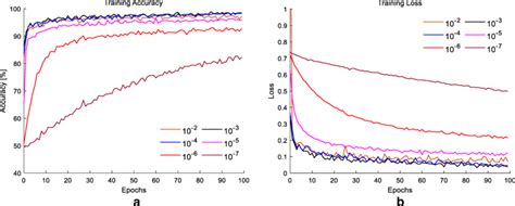 Effects Of Initial Learning Rate On Model Performance Download