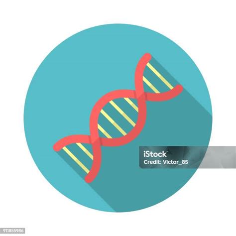 긴 그림자 있는 Dna 원형 아이콘입니다 평면 디자인 스타일입니다 Dna 간단한 실루엣입니다 Dna에 대한 스톡 벡터 아트 및