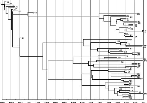 time scaled maximum clade credibility tree generated using a relaxed
