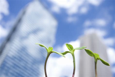 5 careers for ms environmental engineering grads uc riverside