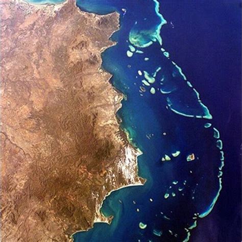 Diagram Indicating Regions Of The Reef Including The Reef Crest