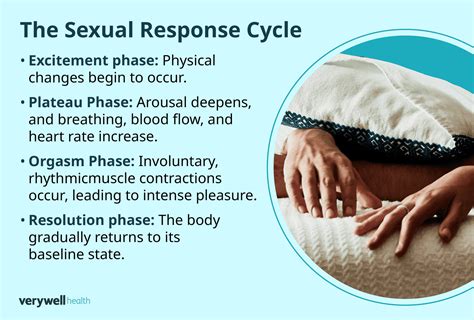 The Sexual Response Cycle In Females And Males