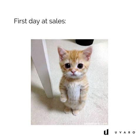 Memes Training Comment Meme And I Ll Send You My Brand New New