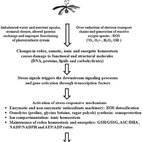 4 Examples Of Halophytic Plant Species Used For The Purpose Of