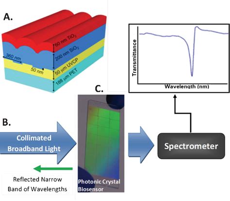 Figure 1 From Label Free Biodetection Using A Smartphone Semantic Scholar