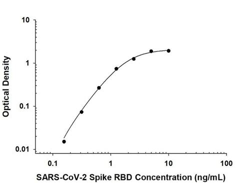 Sars Cov 2 Spike Rbd Antibody R D Systems 25 μg Unconjugated