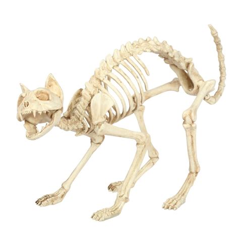 Skeletal Poseable Life Size Critters Boing Boing