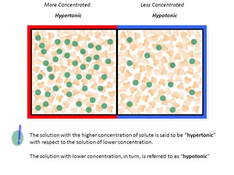 Cell Structure And Function Ppt Video Online Download
