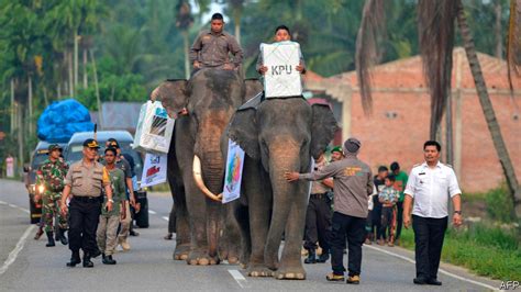 Indonesia Votes