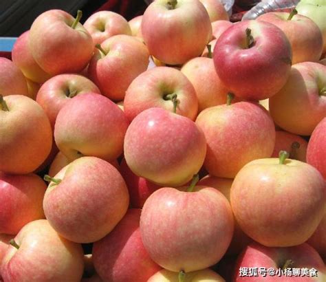 苹果也分公母母的更甜牢记这3点轻松分辨公母 东方养生频道 东方养生