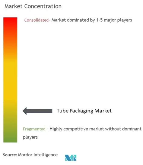 튜브 포장 회사 상위 회사 목록