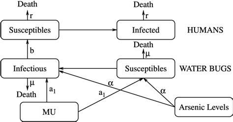 Schematic Representation Showing Interrelations Between The
