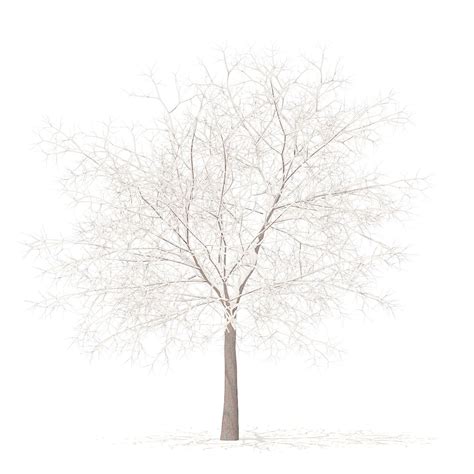 Landscape Architecture Graphics Interior Architecture Drawing