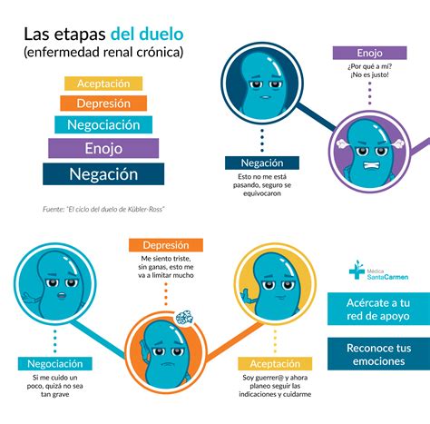 Duelo Por Enfermedad Renal Etapas Del Duelo