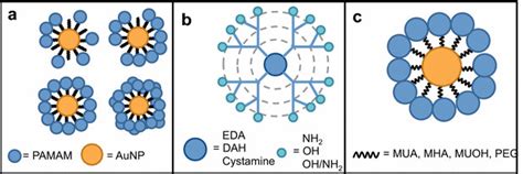 Synthetic Parameters Investigated A Aupamam Surface Density B Pamam