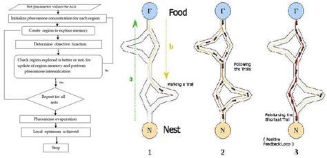 Ant Colony Optimization Flowchart And Drawing Download Scientific Diagram
