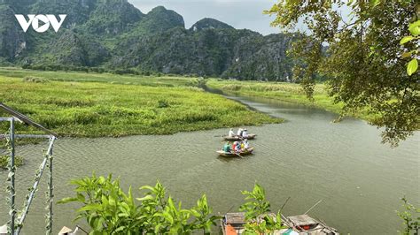 Mùa Vàng Tam Cốc Tràng An 2024 Điểm Nhấn ấn Tượng Của Du Lịch Ninh Bình