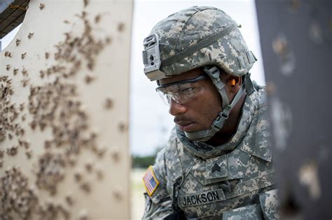 배경 화면 불 뉴저지 고통 미국 지도 Nj 무기 병사들 전사들 더미 적합 Nco 선교 범위 M16 발사 변형 유용성 팀워크 시민권 자