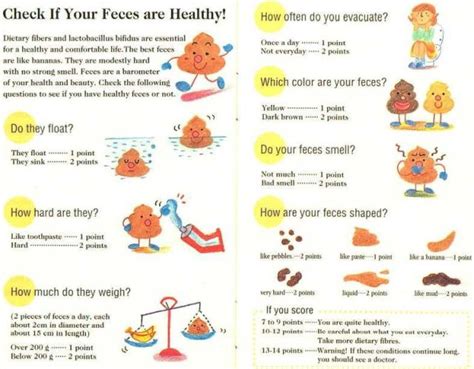 Poo Chart St Eutychus