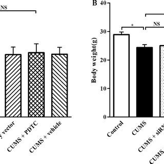 Effect Of Tlr4 Sirna And Pdtc Treatment On Food Intake And Body Weight