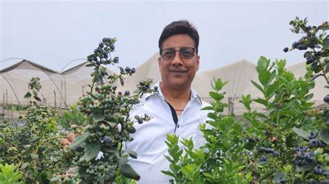 Sheel Biotech Ltd Pioneering Sustainable Agricultural And