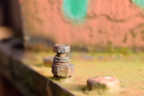 รูปภาพkrans เลือกดูภาพถ่ายสต็อก เวกเตอร์ และวิดีโอ136 Adobe Stock