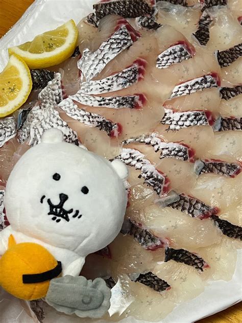 톱담곰 On Twitter 참돔 회 콰아악