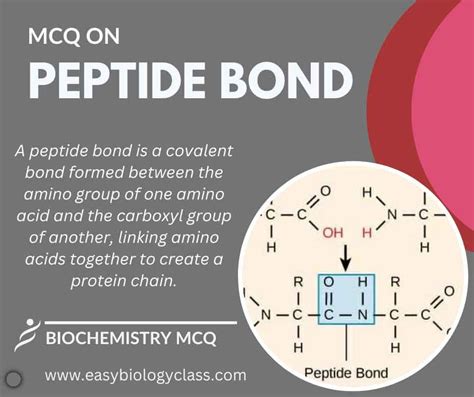 MCQ On Peptide Bond EasyBiologyClass