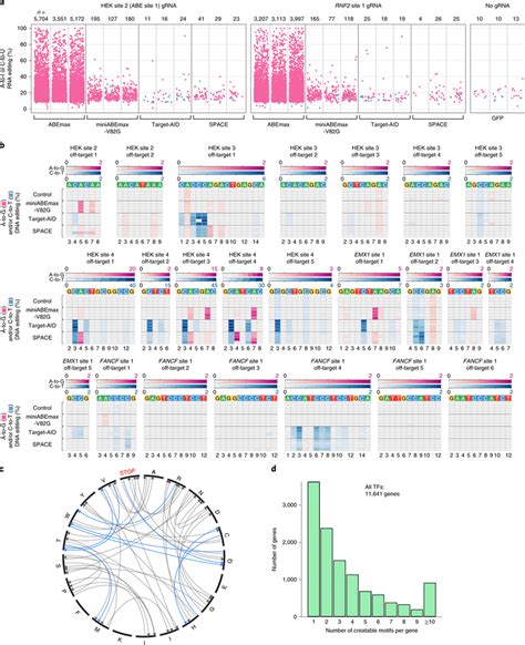 Rna And Dna Off Target Editing Potential Amino Acid Modifications And
