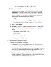 Chapter The Molecular Basis Of Inheritance Chapter The Molecular Basis Of Inheritance A