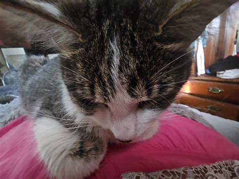 Deb Bittner Okwuabudike