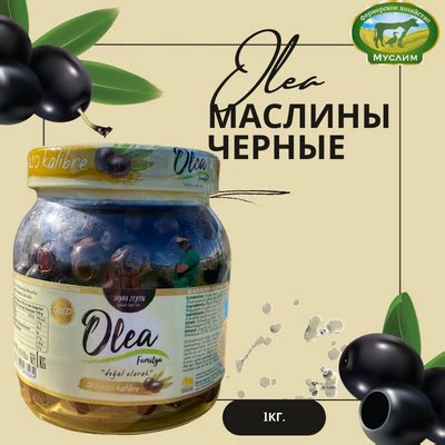 Маслины черные ГОЛД OLEA 1кг. Турция | Магазин Халяль