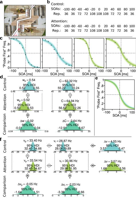 measuring attention and visual processing speed by model based analysis