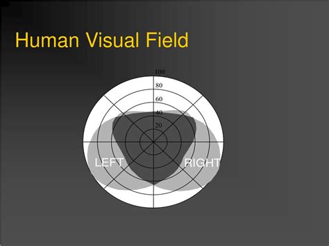Ppt Intro To Human Visual System And Displays Powerpoint Presentation