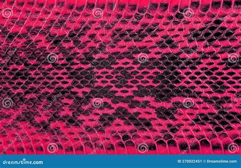 Pink Python Leather Skin Texture For Background Stock Image Image