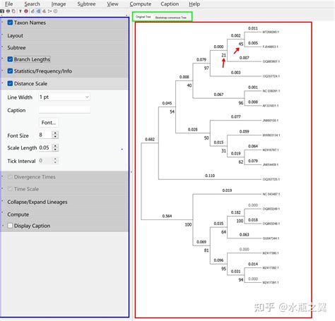 手把手教你绘制进化树（理论与实践） 知乎