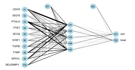 Visualization Of The Output From Artificial Neural Networks Download Scientific Diagram