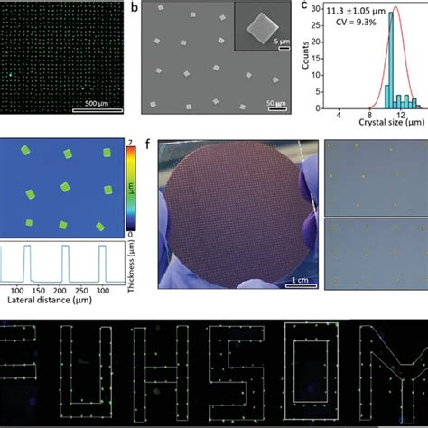 A Xrd Pattern Of The Ch3nh3pbbr3 Microplate Array B Electron