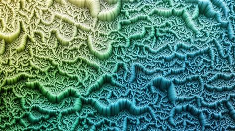 Cellular Automata Patterns That Evolve Into Organic Growth Forms