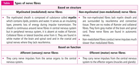 Animal Tissue Class Xi Flow Charts Schematic Diagrams Comparisons
