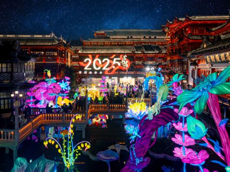 2025豫园非遗大集启幕，全国50余个非遗项目齐聚喜迎非遗版春节 腾讯新闻