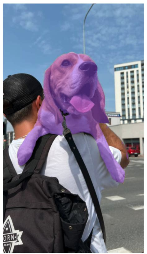 What Is Segment Anything 2 Sam 2