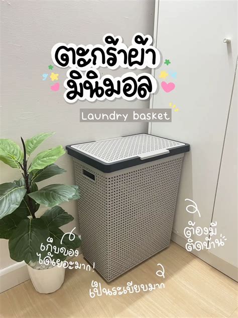 แนะนำตะกร้ามินิมอล🧺🤍☺️ แกลเลอรีที่โพสต์โดย Allailovee Lemon8