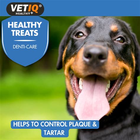 Healthy Treats Denti Care For Dogs And Puppies Vetiq Healthy