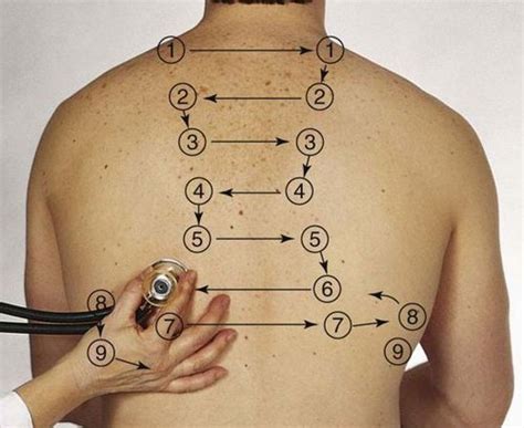 Lung Sound Assessment